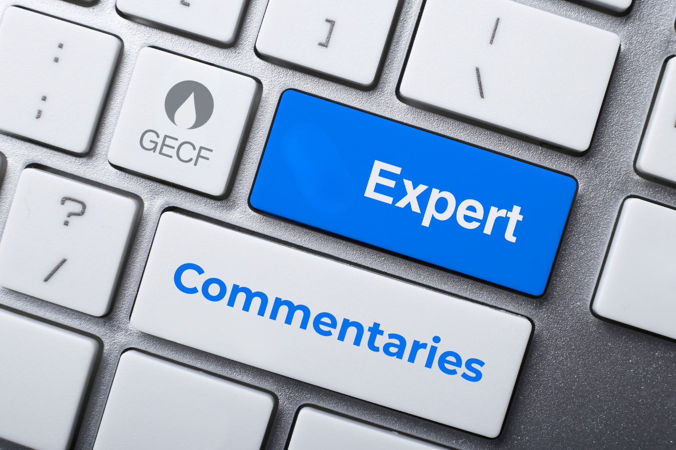 Expert Commentaries