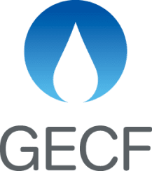 Gas Research Institute